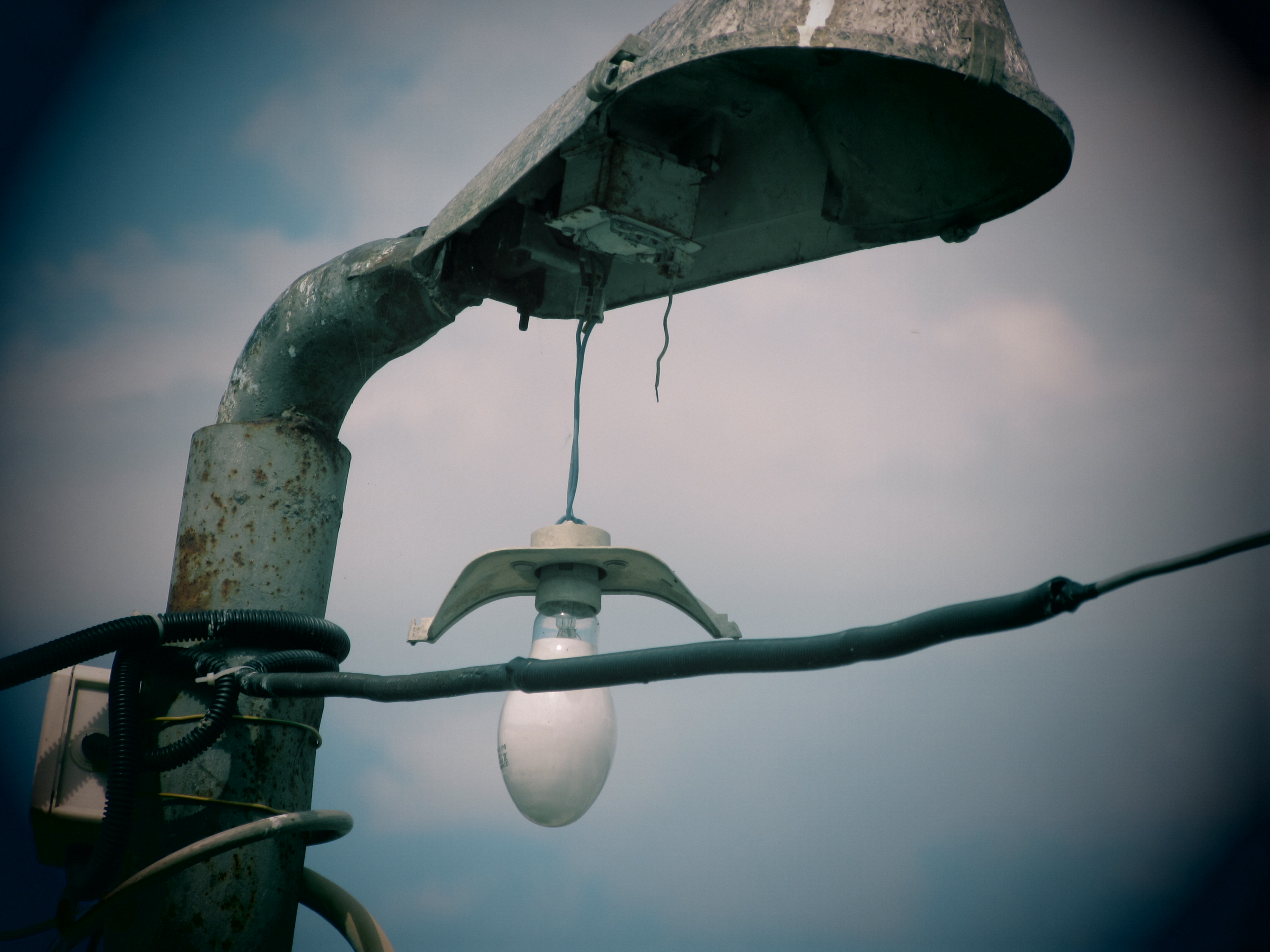 Four Poems by Nicole Callihan — Across the Margin